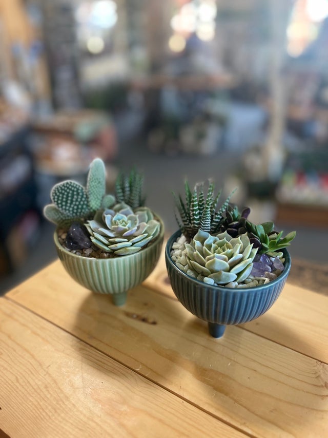 New | The Secret Garden