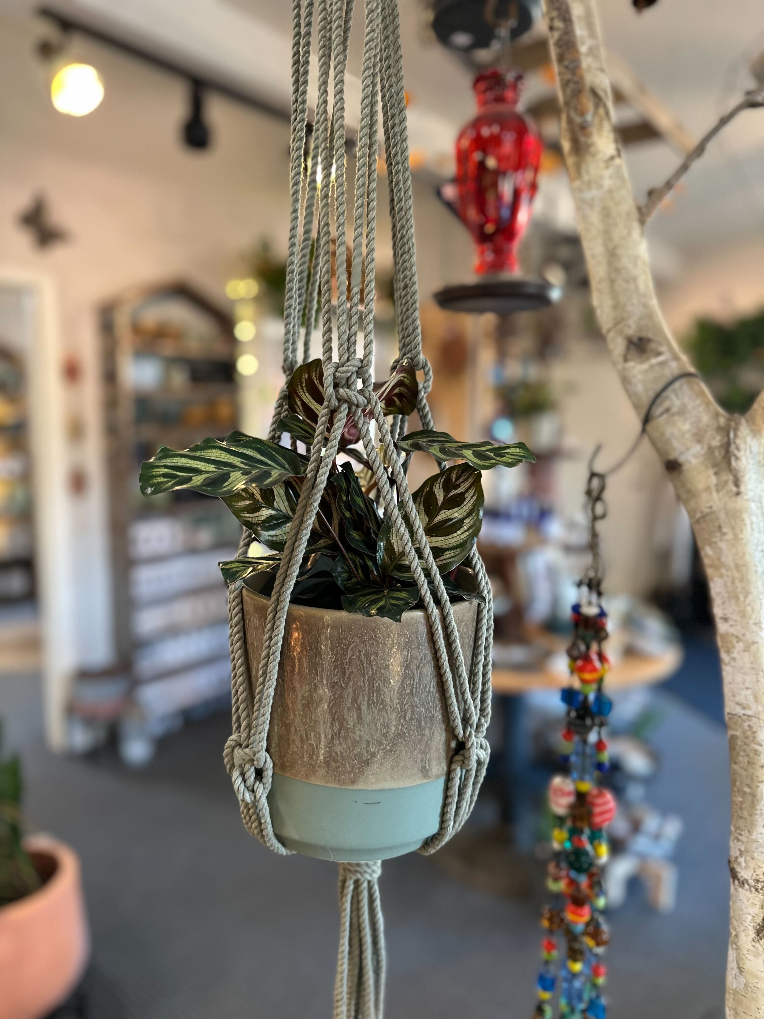 Macrame 101 Workshop 4/7/24 | The Secret Garden