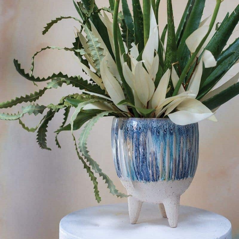 Oasis Pot 6"x7.25" | The Secret Garden